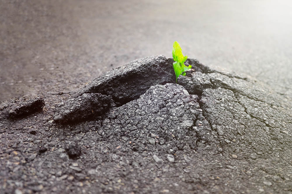 Exploring College Student Persistence | On Course Exploring College Student Persistence | On Course